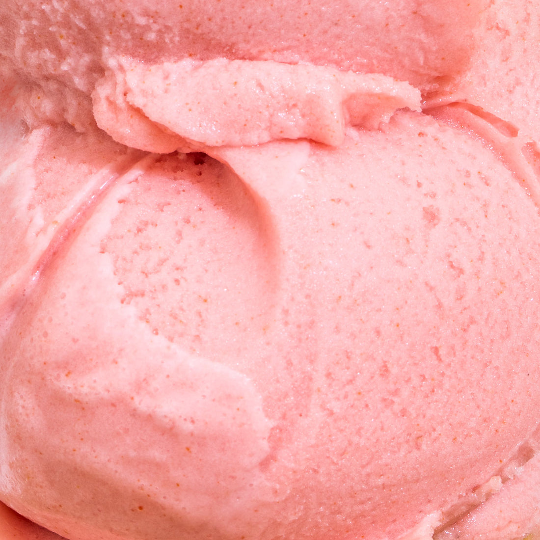 Frosé Sorbet | Jeni's Splendid Ice Creams