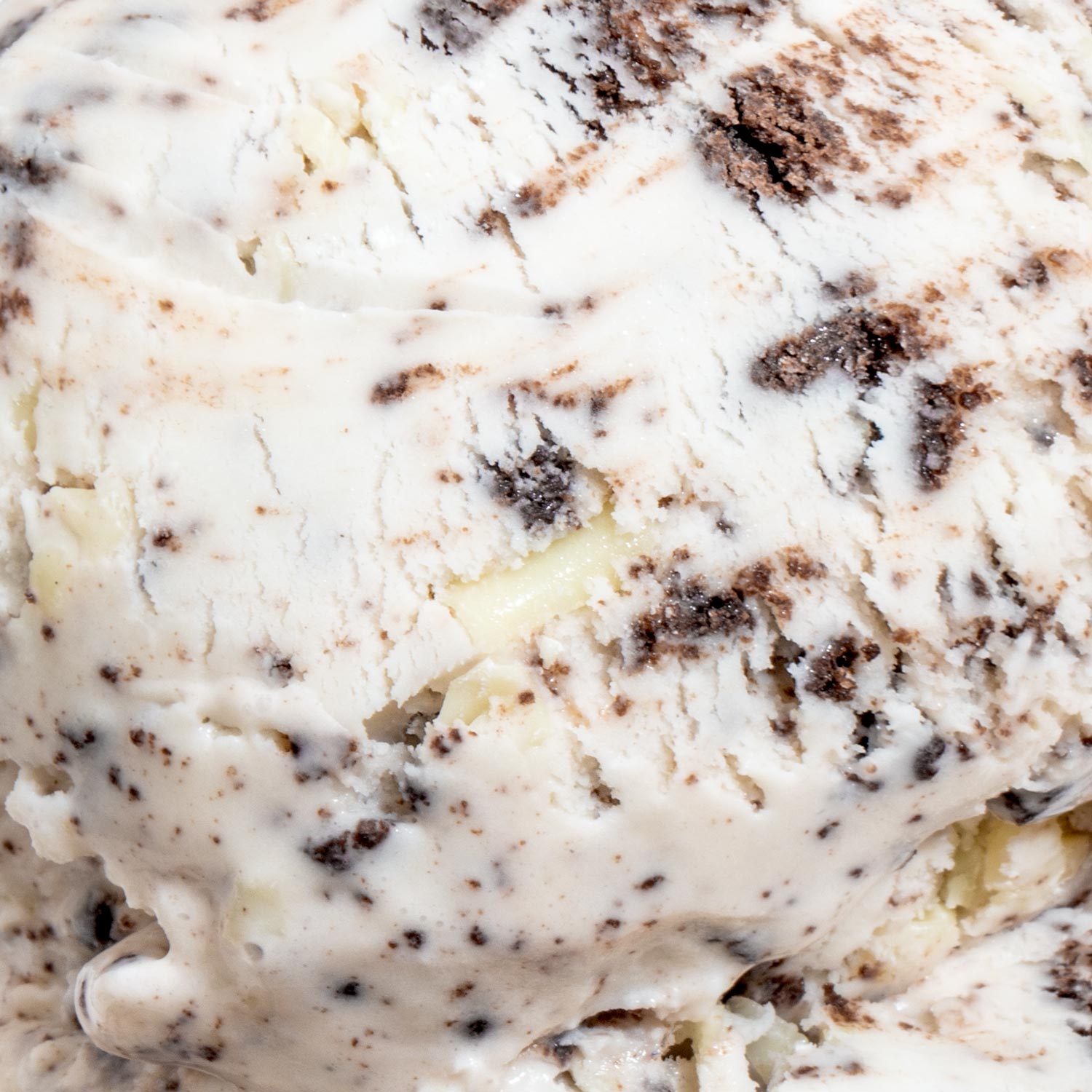 Cookies in Cream | Jeni's Splendid Ice Creams