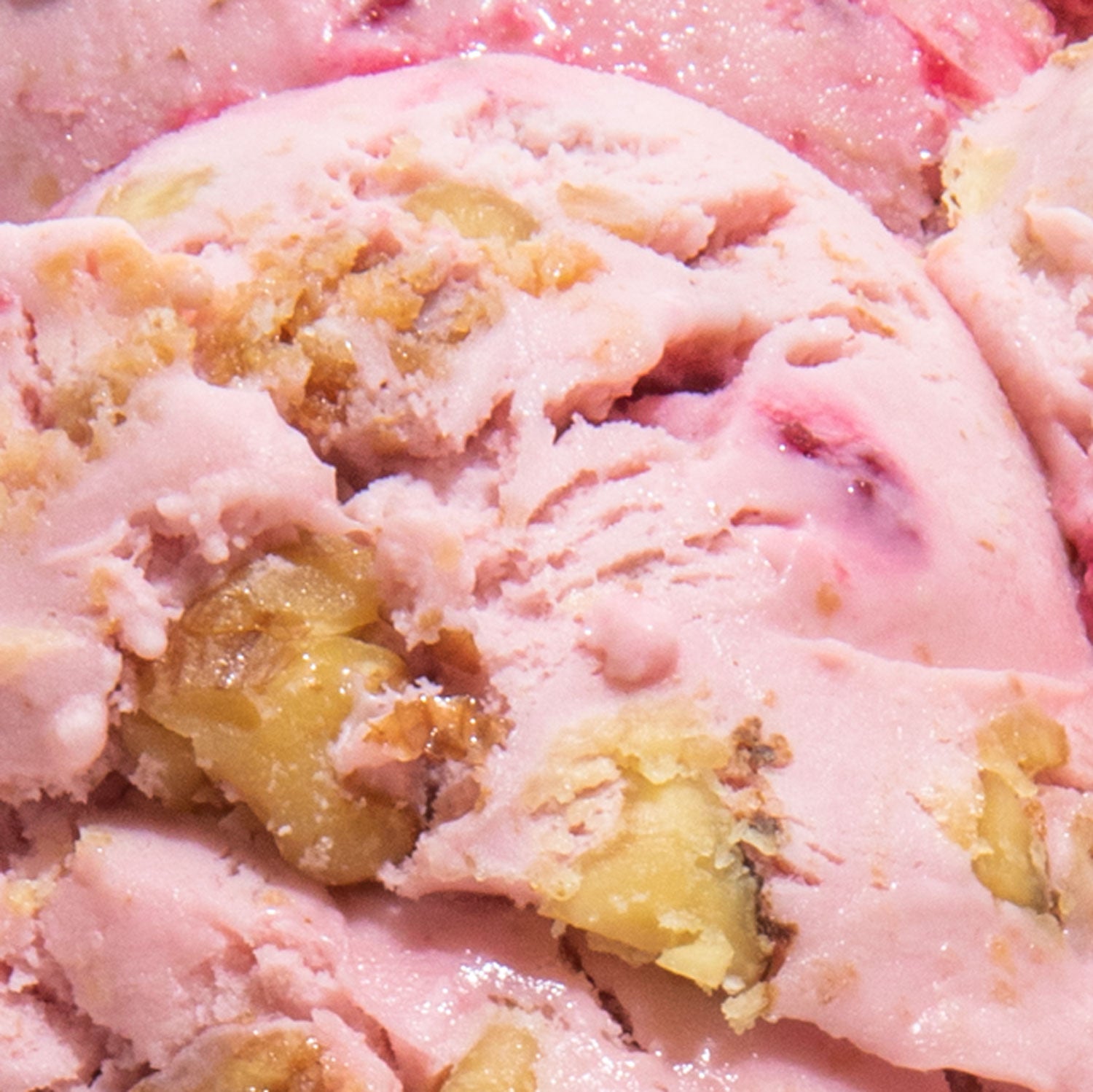 Holiday Flavors | Jeni's Splendid Ice Creams