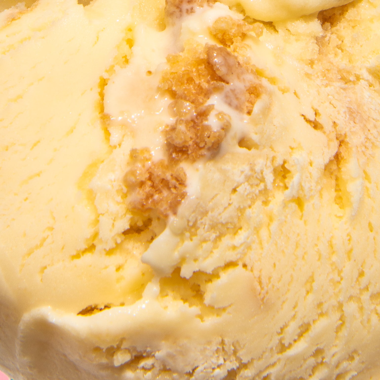 Biscuits With The Boss | Jeni's Splendid Ice Creams